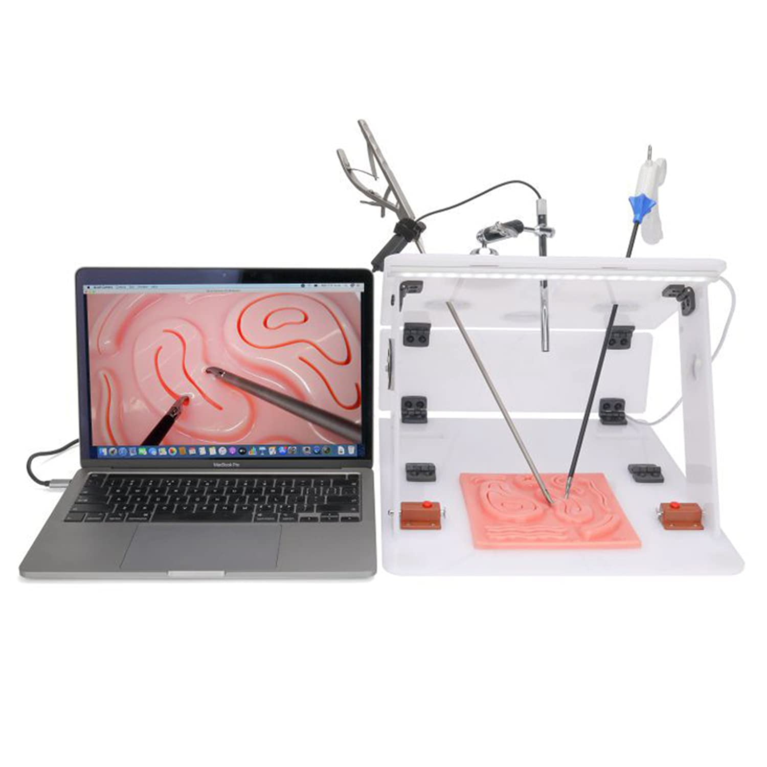 Buy Laparoscopic Training Box, Laparoscopic Trainer Simulator Box Kit ...