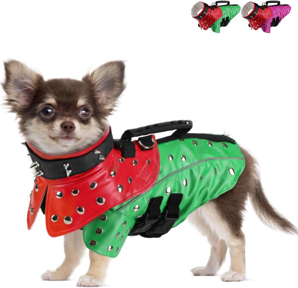 Amazon.com : EMUST Anti Hawk Dog Vest for Small Dogs, Coyote Proof Dog ...