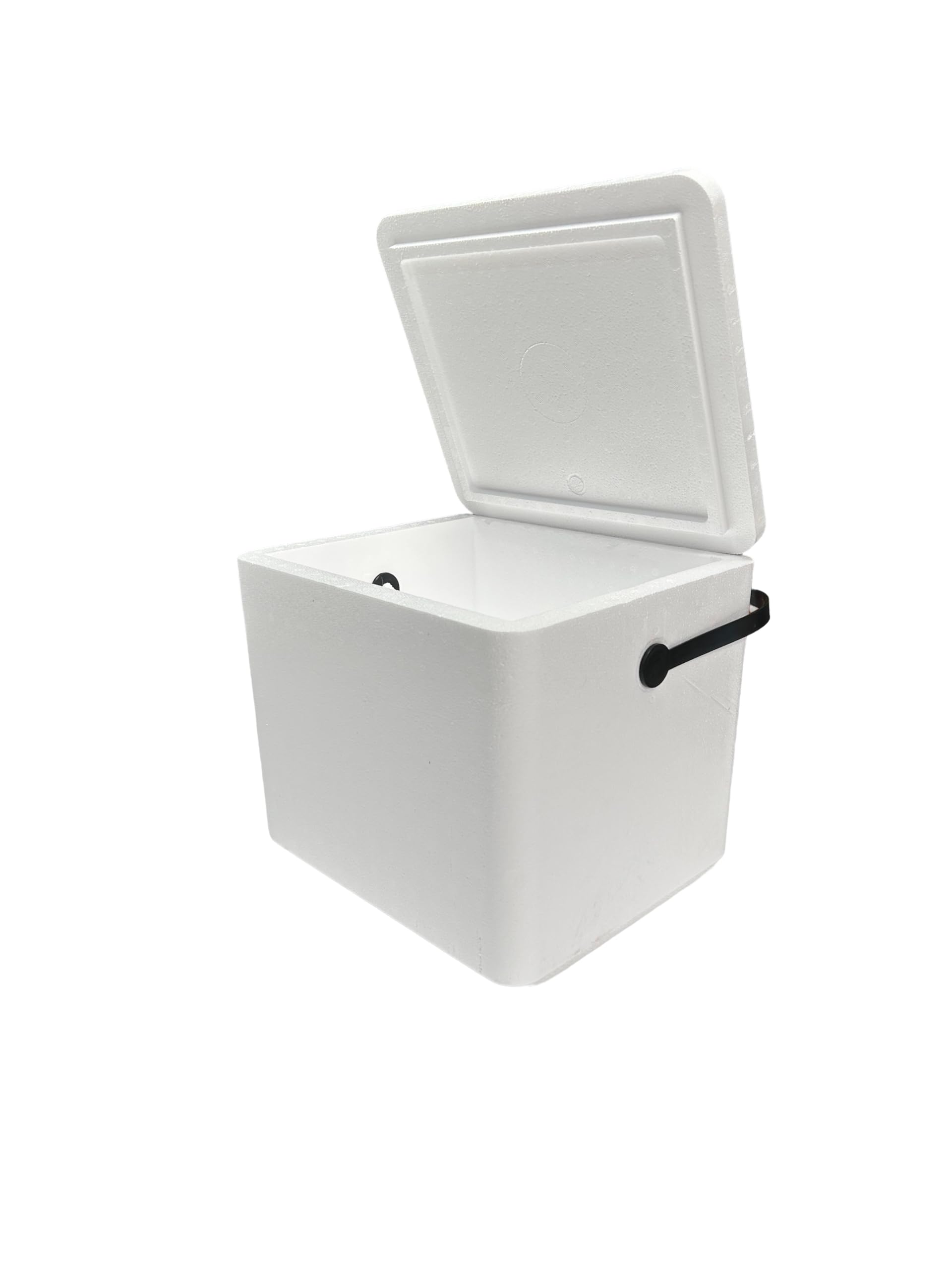 Amazon.com : Insulated Styrofoam Cooler, 22 qt Capacity, with Carrying ...