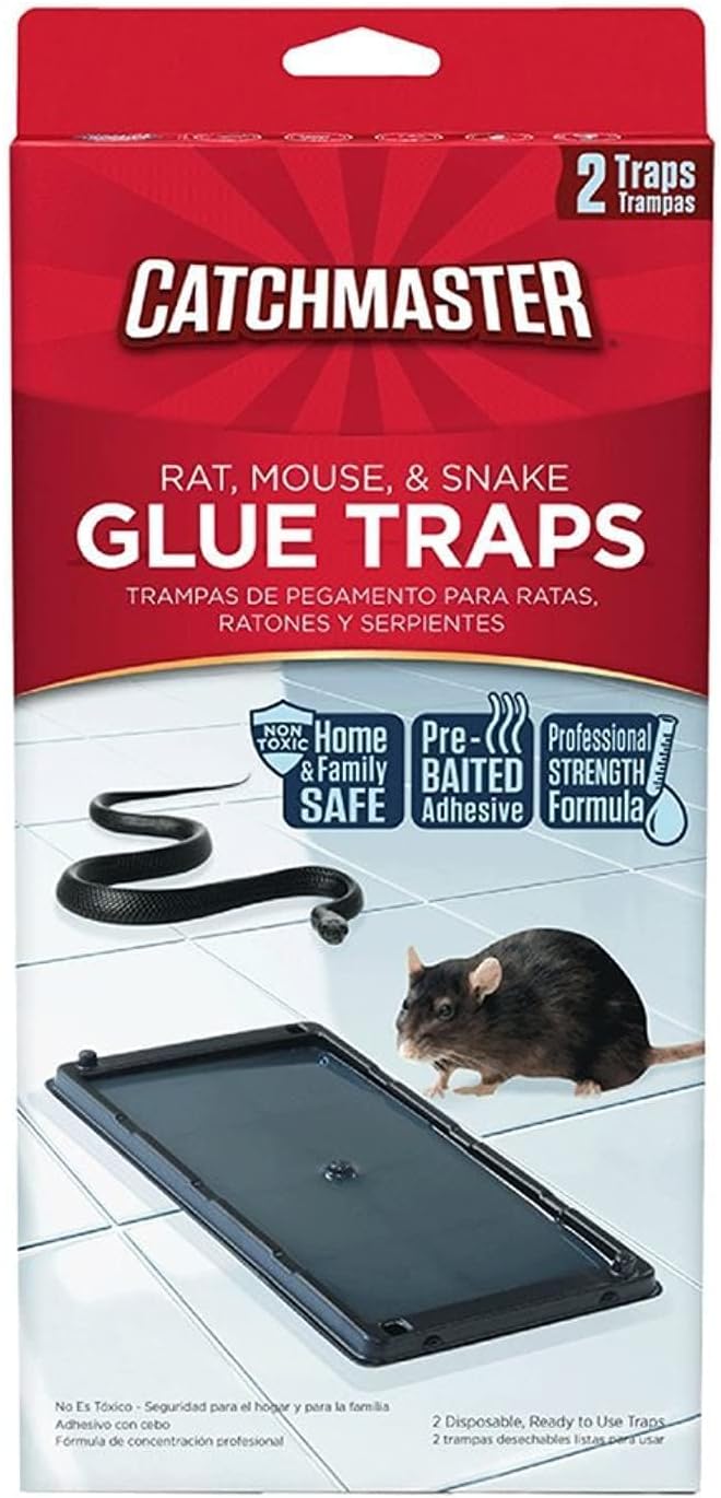 Amazon.com : Catchmaster 402 Baited Rat, Mouse and Snake Glue Traps ...