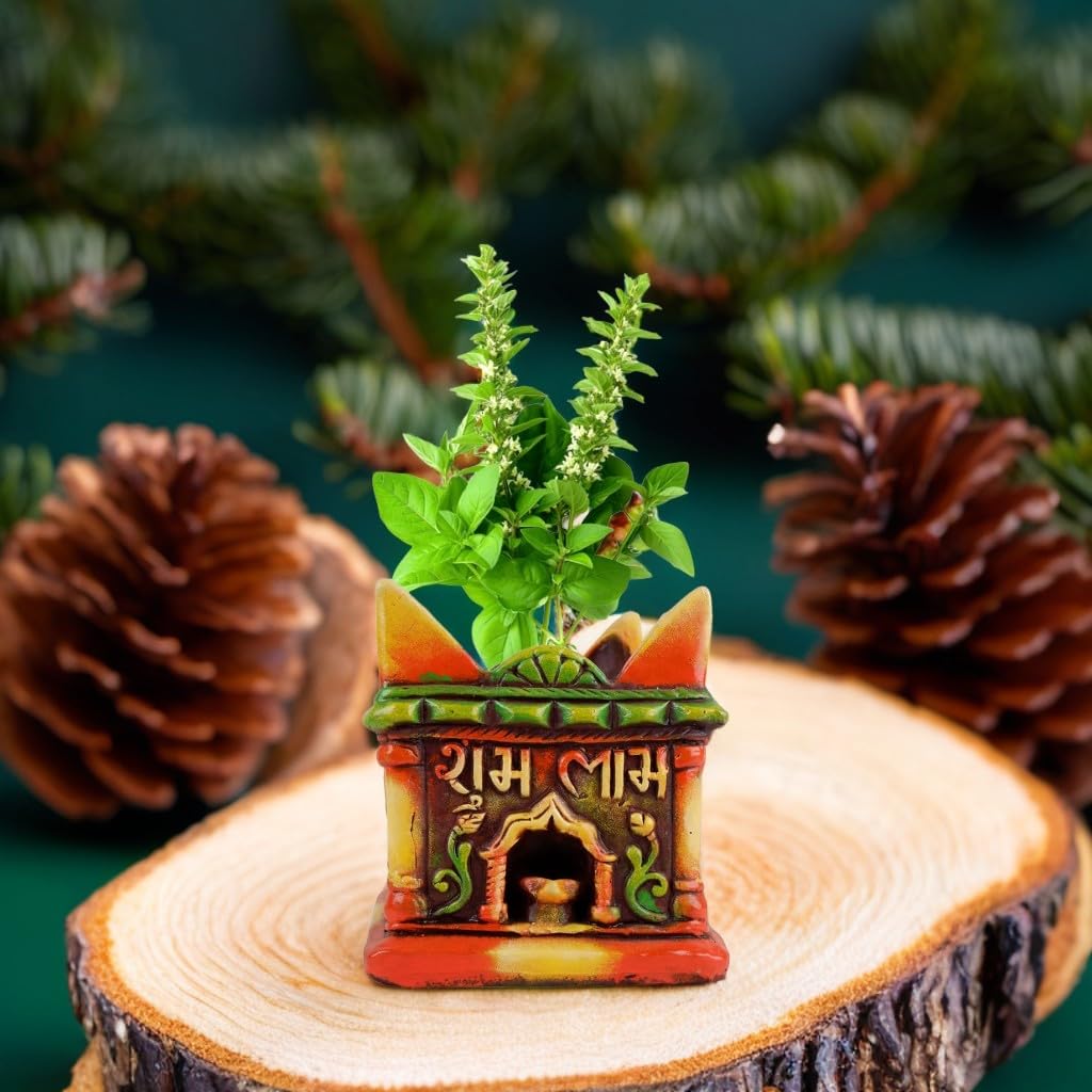 Turtuls Group Terracotta Tulsi Planter Pots - Multicolor Look, 11x10 ...