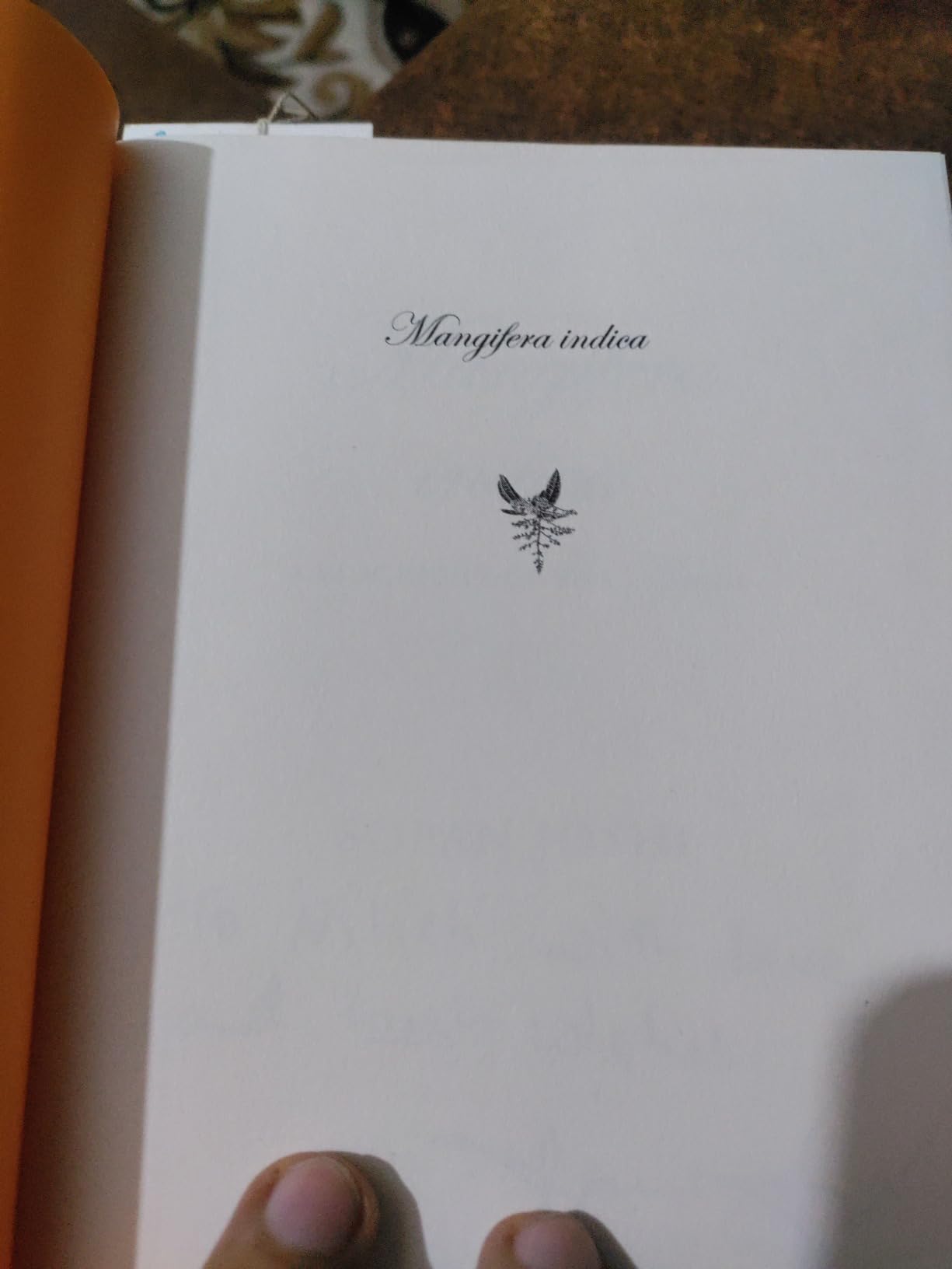 Mangifera indica: A Biography of the Mango eBook : Joshi, Sopan: Amazon.in: Kindle Store