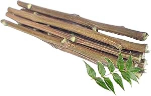Amazon.com: Chewing Sticks of Neem Datun Oral Herbal Teeth & Tongue ...