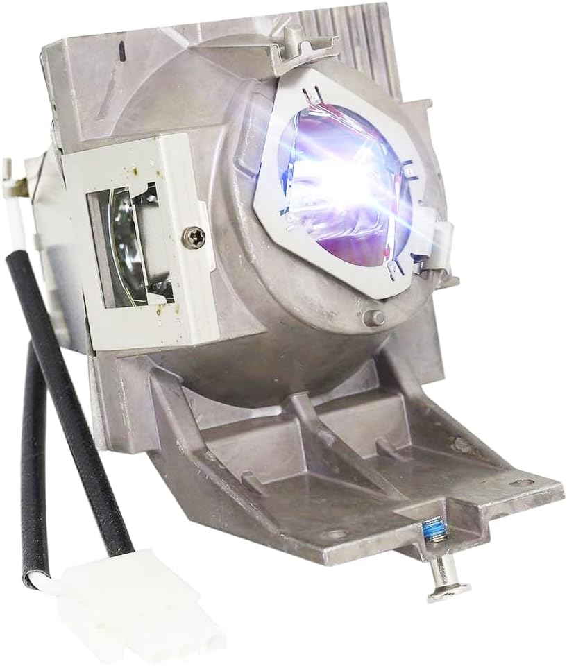 Amazon.com: JISIZKY 5J.JKX05.001 Replacement Lamp Bulb with Housing for ...