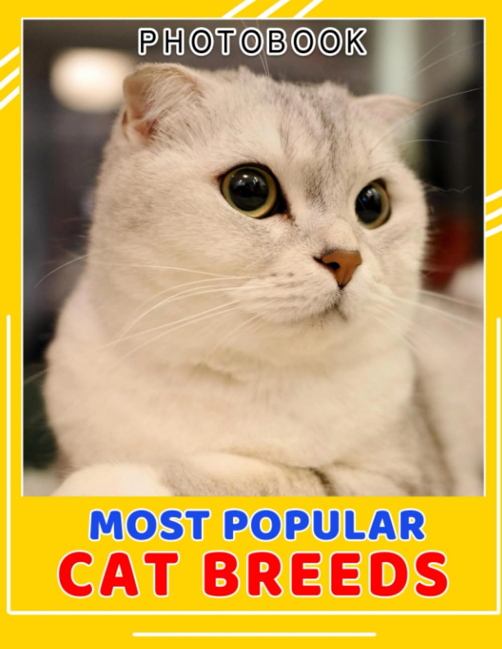 Most Popular Cat Breeds Photobook: 40 Creatures Book for Cats Lovers ...