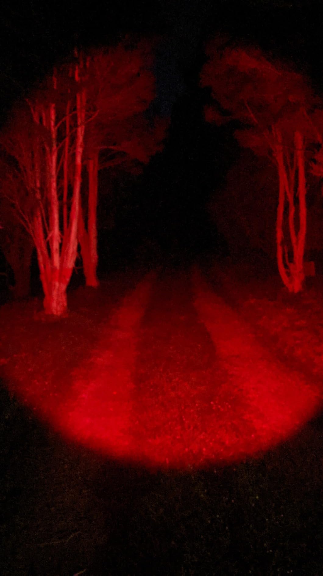 T Tersely 2-Pack Red LED Flashlight, Powerful Single Mode Light SK68 ...