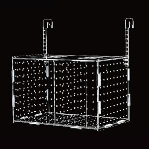 Amazon.com : Fish Breeding Box Isolation Box Breeder with Hook ...