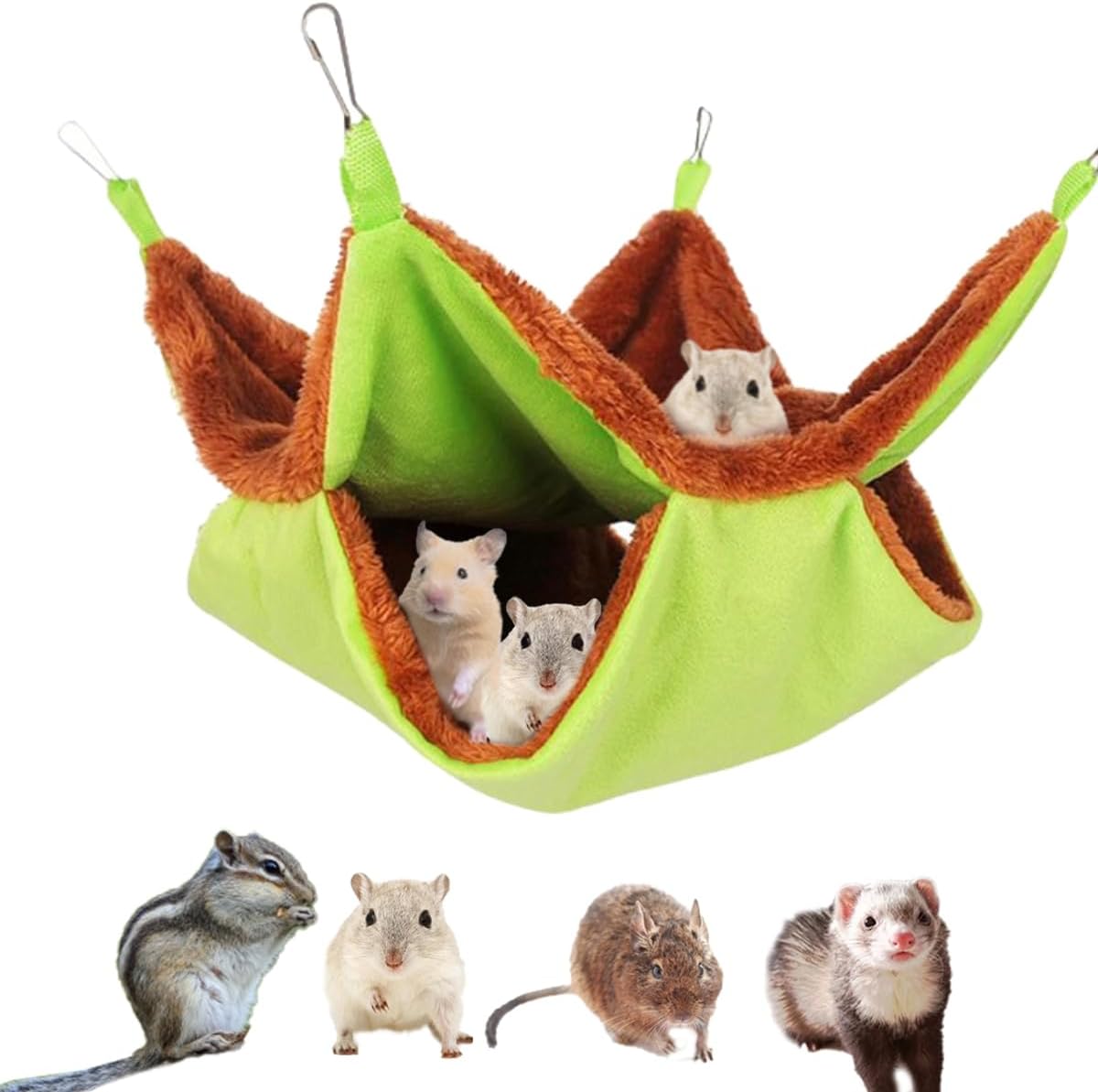 Amazon.co.jp: Micolora Chinchilla Ferret Degu Momonga Chinchilla ...
