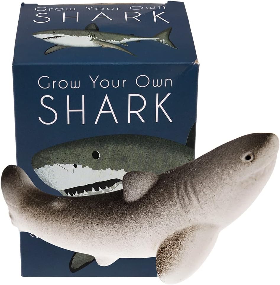Rex London Grow Your Own Giant Hatching Shark Egg : Amazon.co.uk: Toys ...