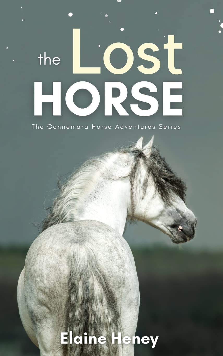 Amazon.com: The Lost Horse - Book 6 in the Connemara Horse Adventure Series for Kids The Perfect ...