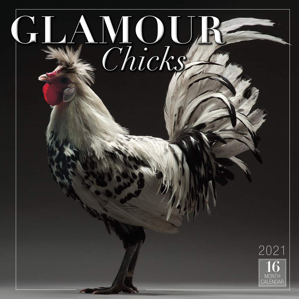 Buy Glamour Chicks 2021 Calendar Book Online at Low Prices in India ...