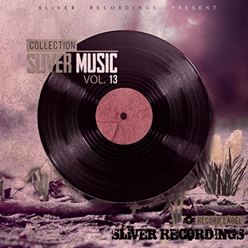 Amazon Music - VARIOUS ARTISTSのSliver Music Collection, Vol.13 - Amazon ...