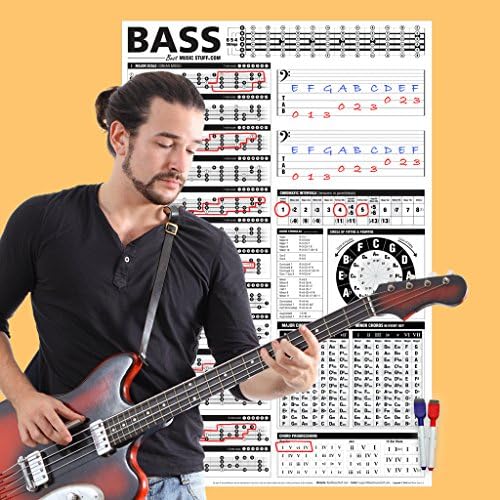 Amazon.com: Creative Bass Poster - Interactive Theory Chart • Creative ...