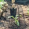 ABMAPA Garden Chicken Wire Cloche,Plant Protector and Cover,Protect ...