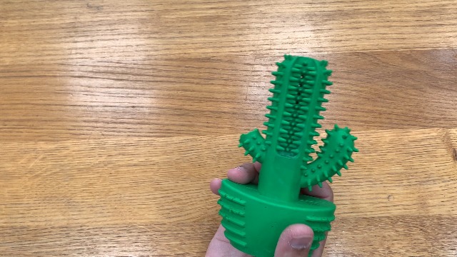 Watch Cactus Chew Toy - My honest review after over a year of use on ...