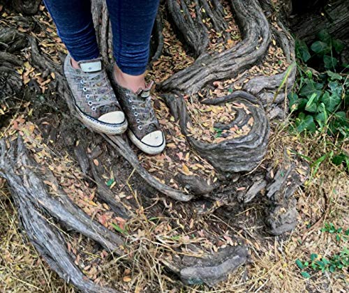 It All: Paul Wicks: 9781715132934: Amazon.com: Books