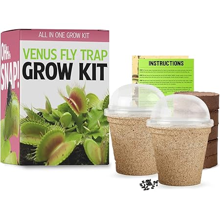 Amazon.com : Venus Fly Trap Seeds Growing Starter Kit All in One ...