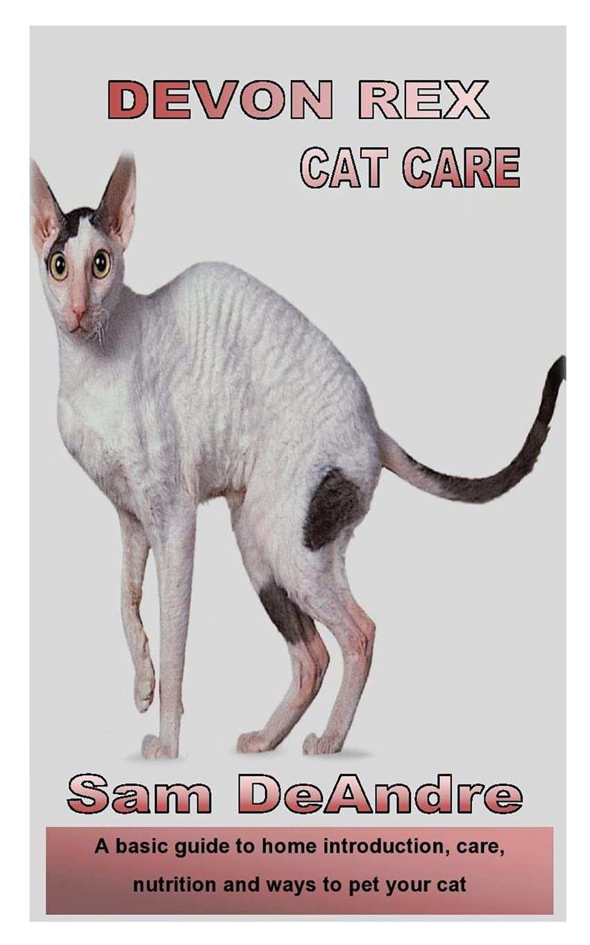 Buy Devon Rex Cat Care: A basic guide to home introduction, care, tion ...