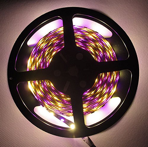 Buy Generic 5M green IP30 : DC12V 5M/roll White/warm white/red/e/green ...