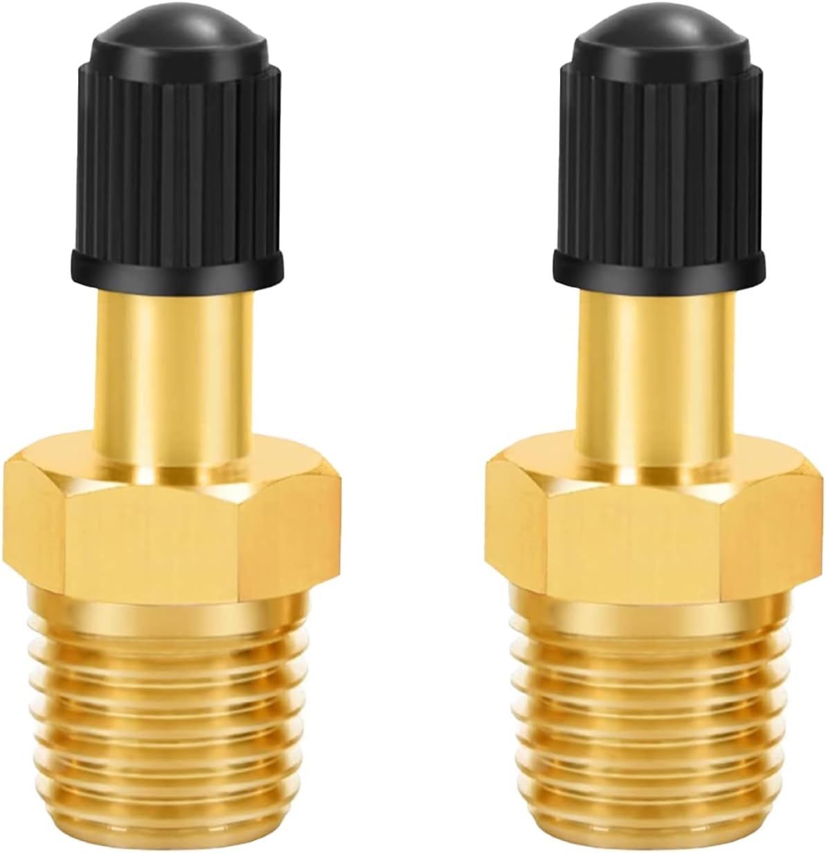 2 Pcs Presta Valve Adapter, 1/4" NPT Male to Standard Brass Air ...