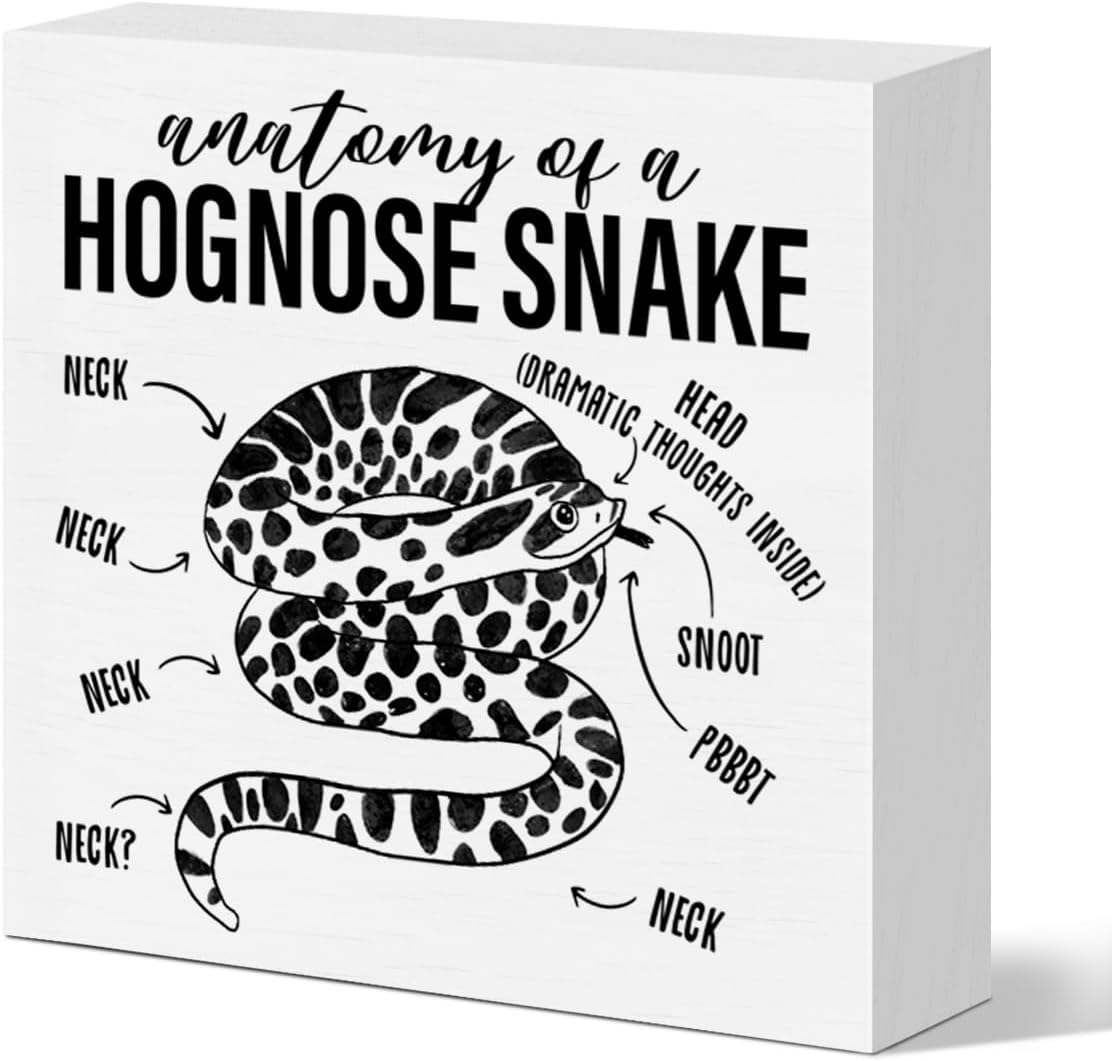 Amazon.com: Hognose Snake Sign Desk Decor, Pet Hognose Snake Decor for ...