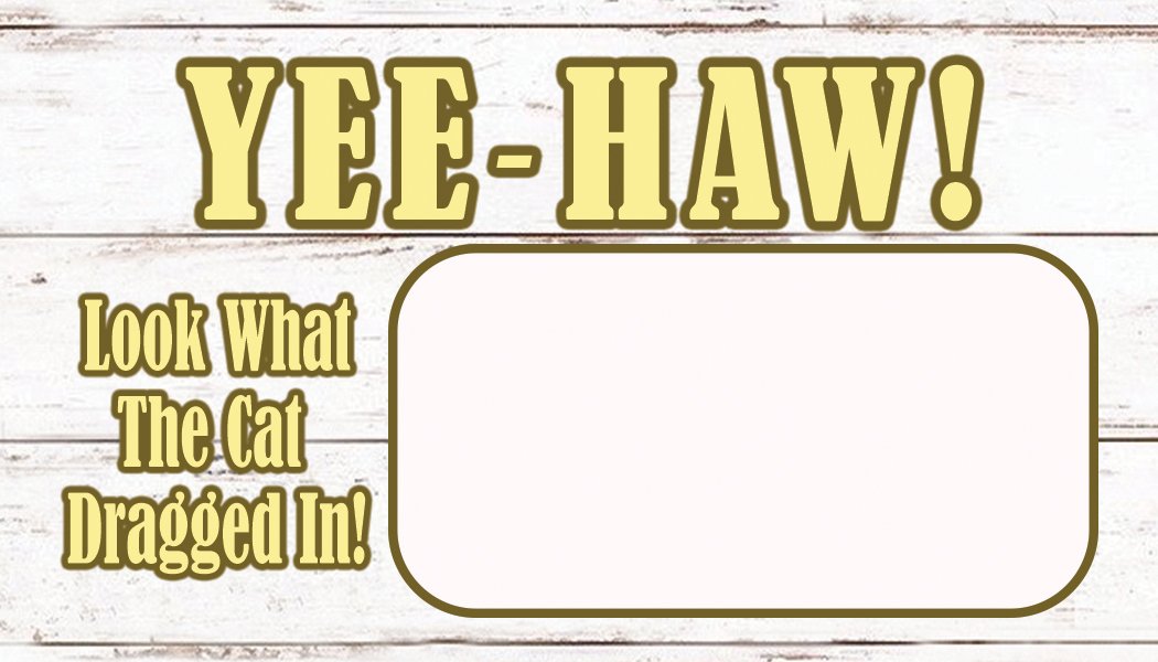 Buy Country Party Name Tags/Name Badge Writable Stickers! Cheeky ...