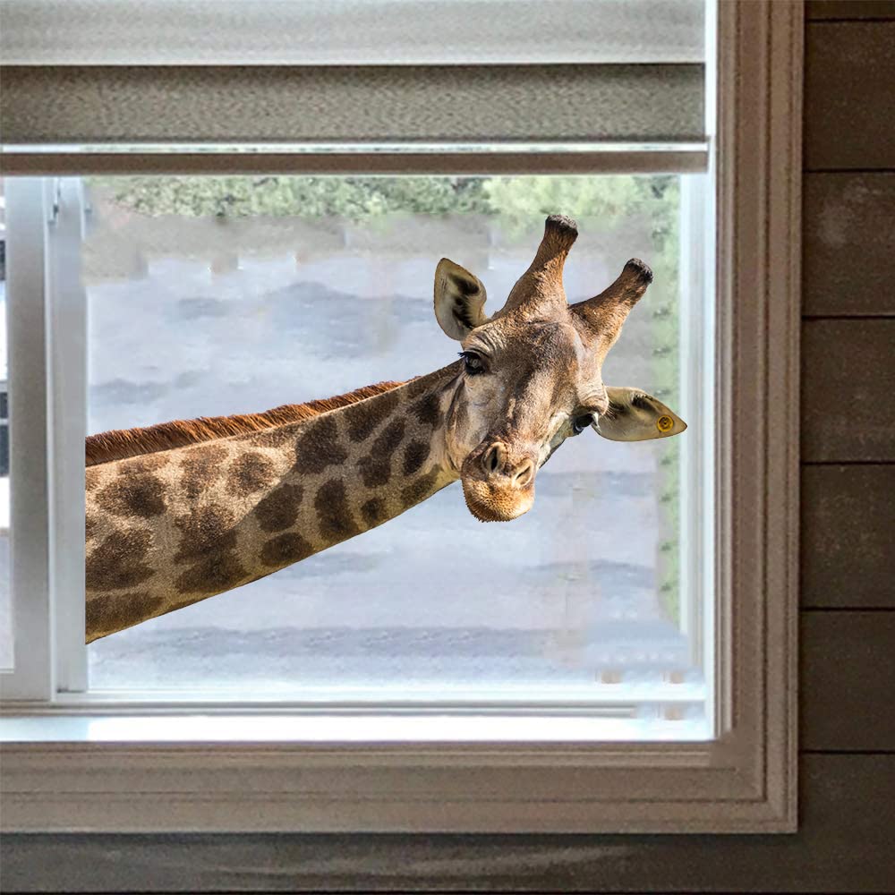 Amazon.com: Funny Giraffe Window Decor Cling Dairy Cattle Wall Stickers ...
