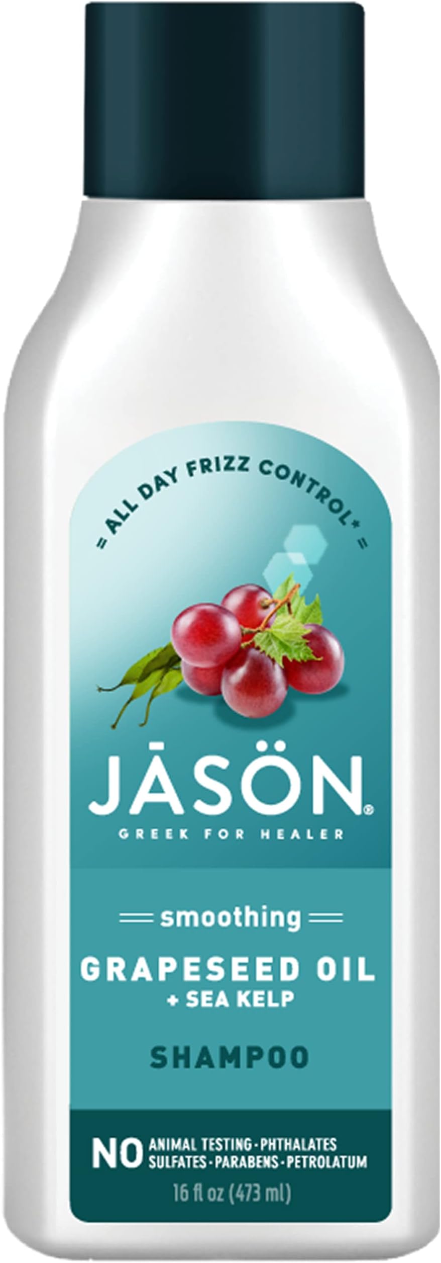 Amazon.com: Jason Restorative Biotin Shampoo, 16 oz. (Packaging May ...