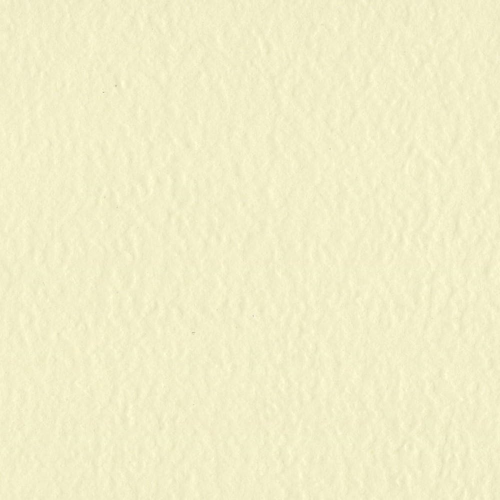 Amazon.com: Bazzill Basics Paper T19-10475 Prismatic Cardstock, 25 ...