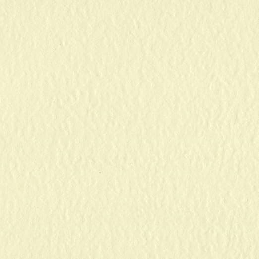 Amazon.com: Bazzill Basics Paper T19-10475 Prismatic Cardstock, 25 ...