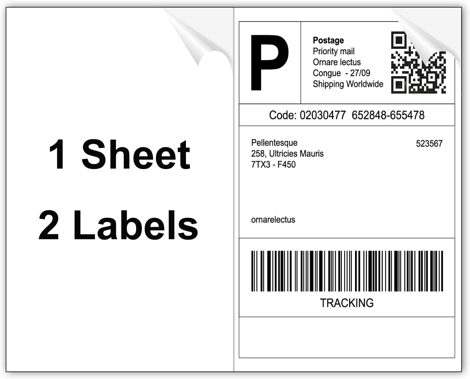 Amazon.com : BESTEASY 3 1/3" x 4" Labels Shipping Labels for Laser ...