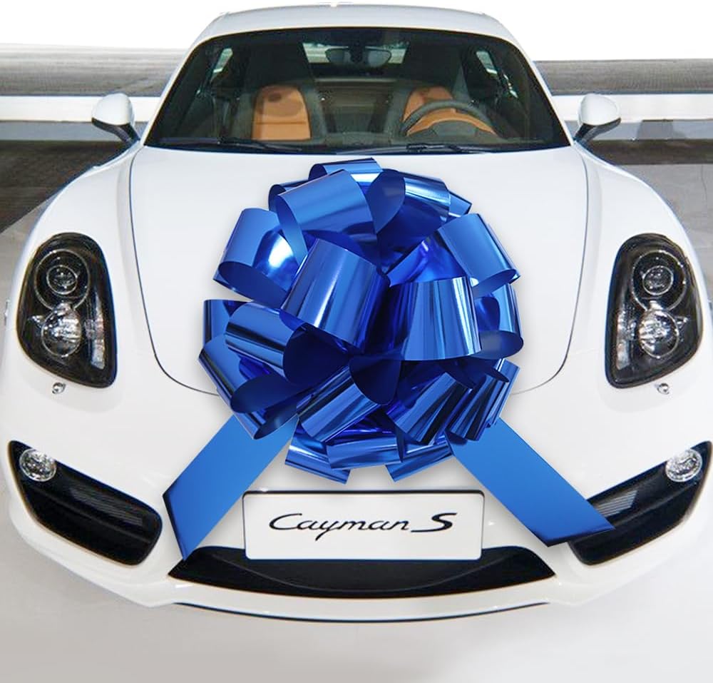 Amazon.com: 1pcs Large Gift Bow,Giant Bow for Car,22 inch Giant Bow ...
