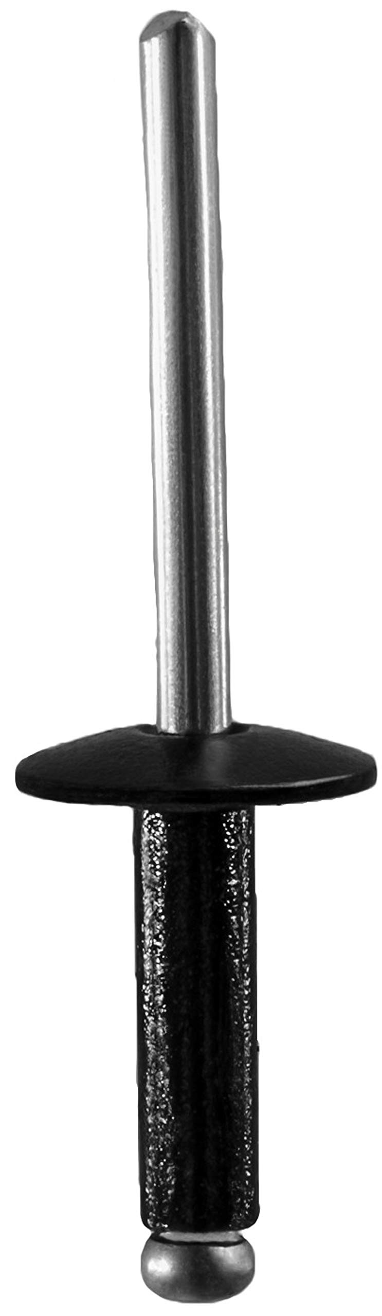 Amazon.com: 25 Fascia & Bumper Rivet 3/16 Diameter Compatible with Ford ...