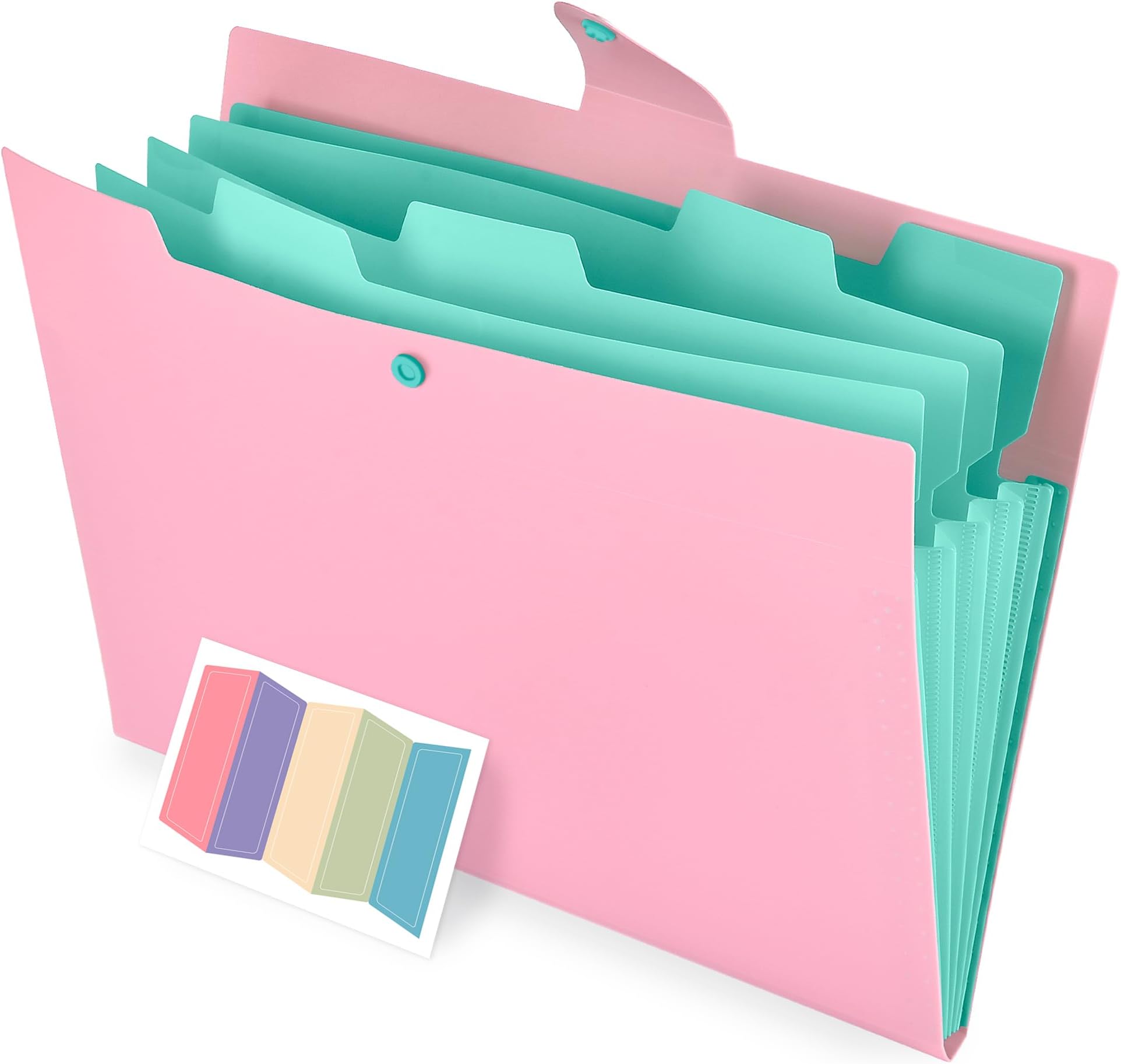 Amazon.com : The File King Accordion File Folders Letter Size | Box of ...