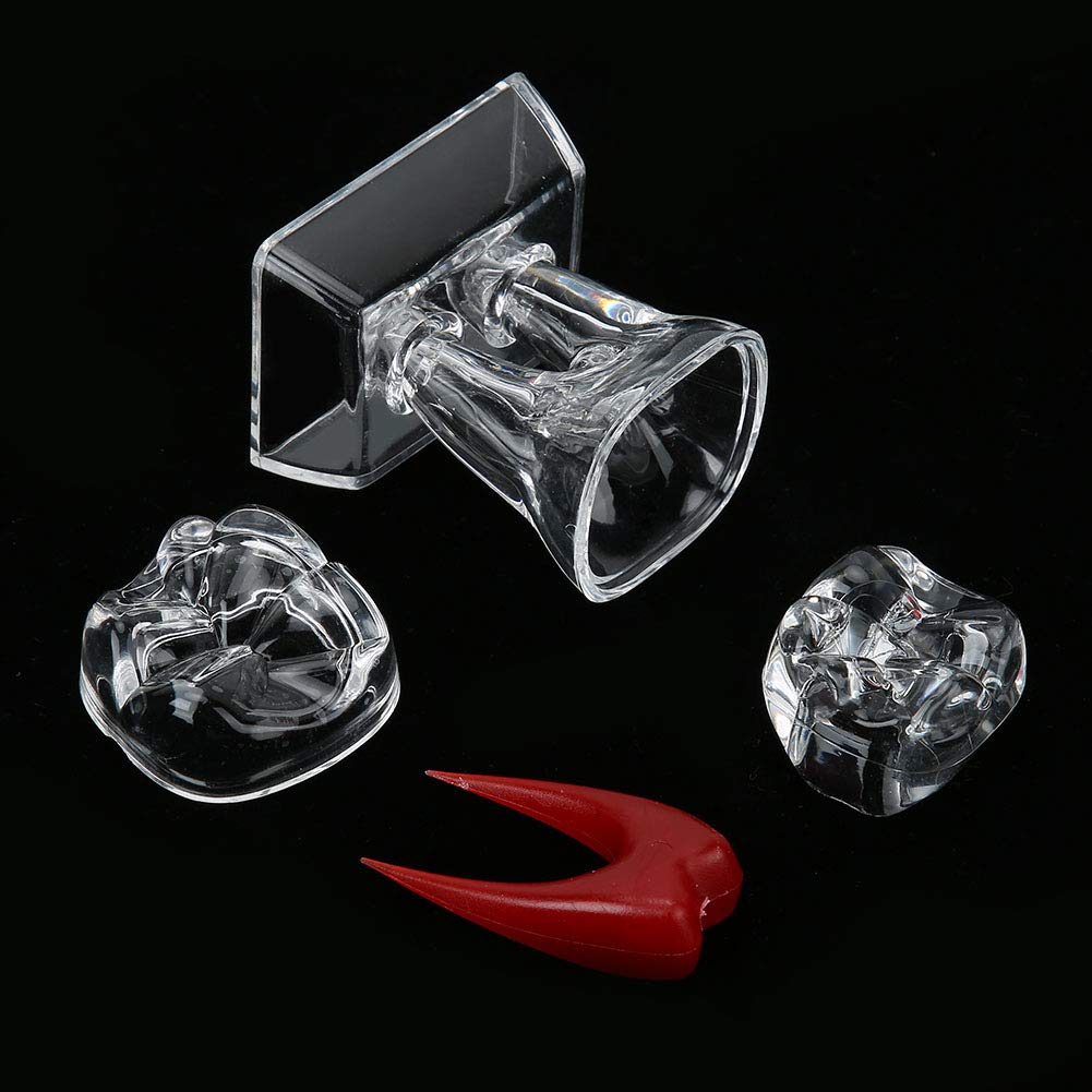 Snapklik.com : Teeth Demonstration Model, Dental Teaching Model, Dental ...