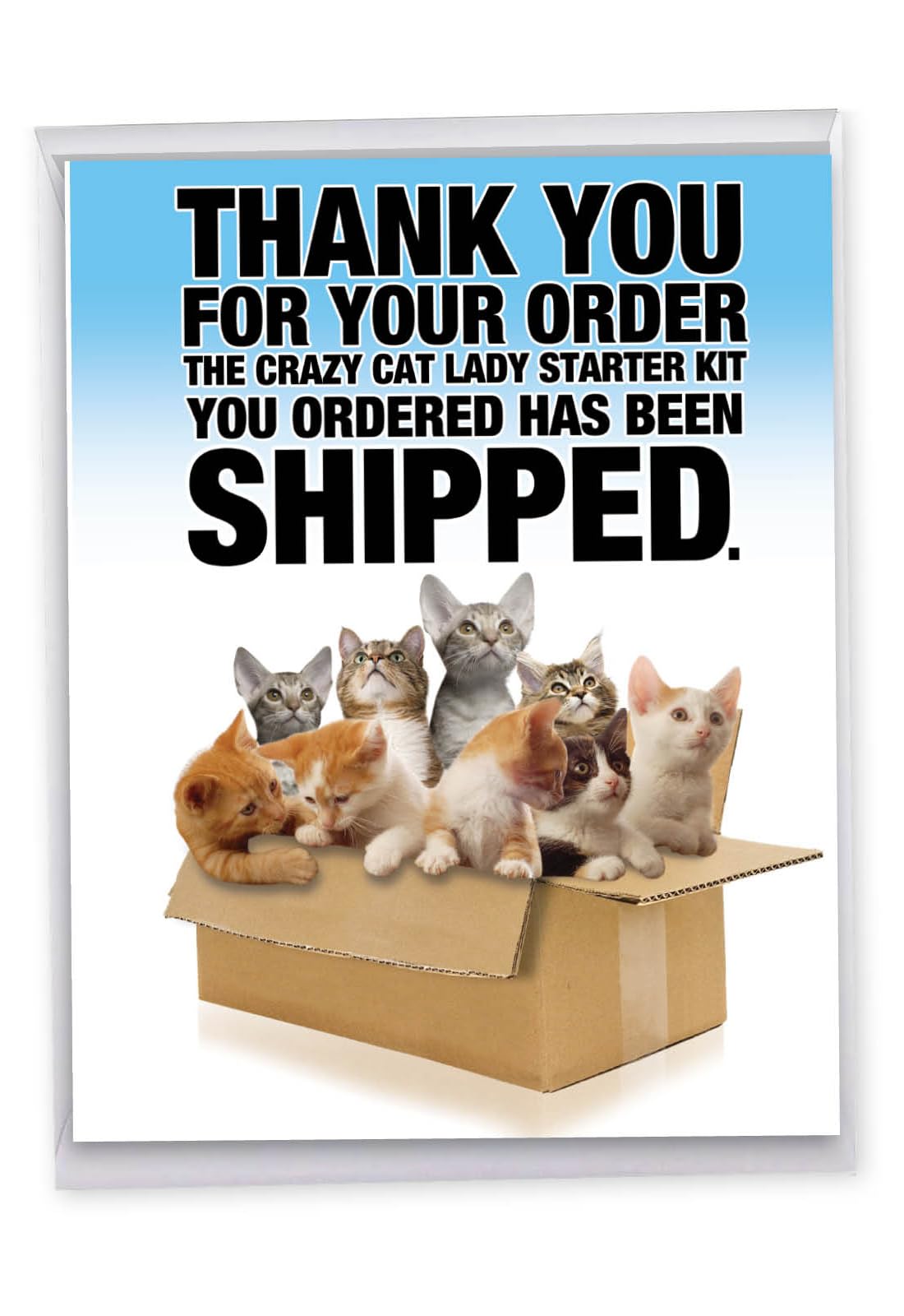 Crazy Cat Man Starter Kit