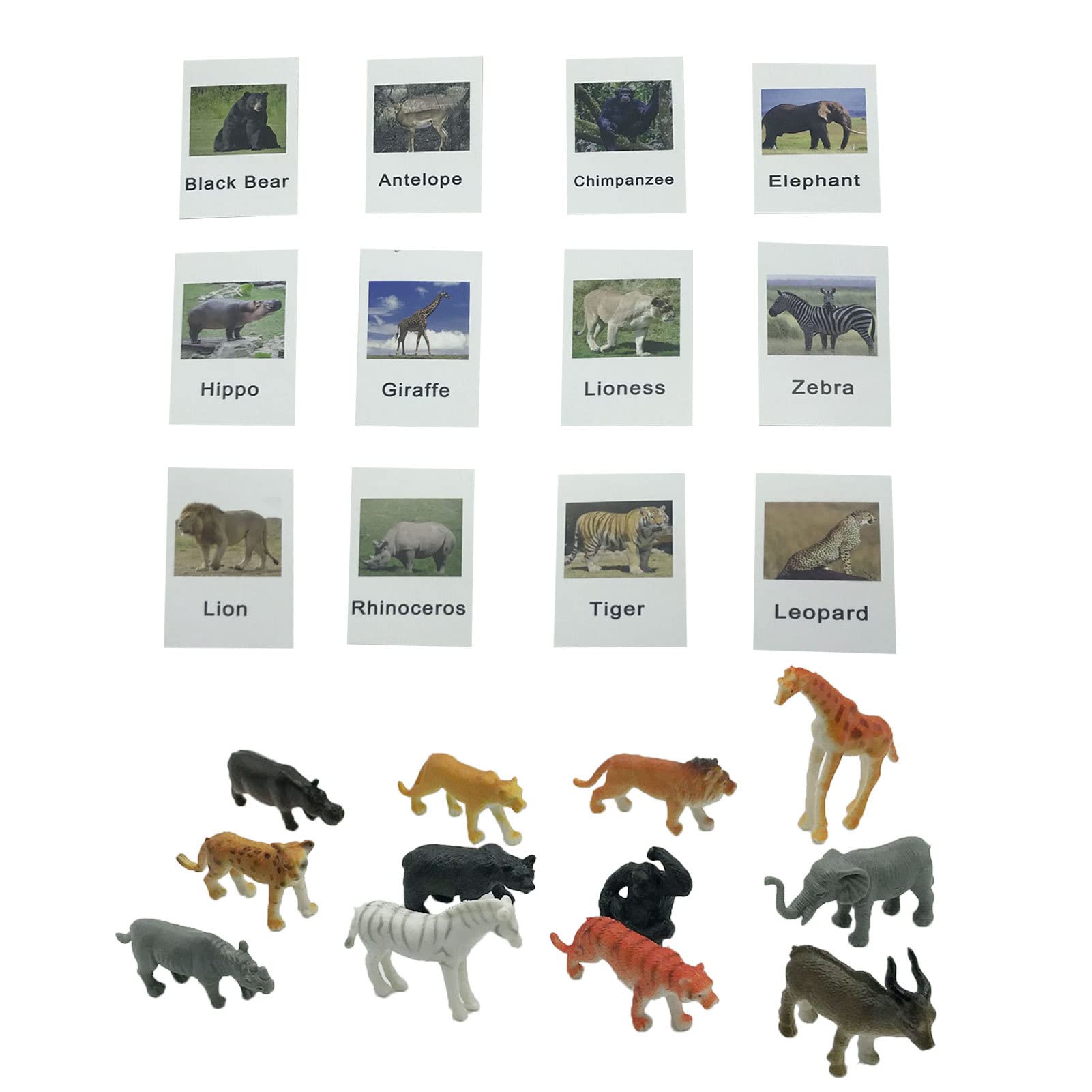 Ditanpu Montessori Animal Match Game Cards Marine Animal Matching Cards ...