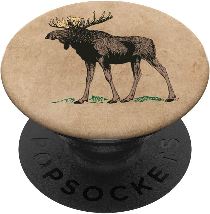 Amazon.com: Moose : Cell Phones & Accessories