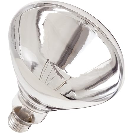 Satco S4885 120V 250 Watt R40 Medium Base Shatterproof Heat Lamp, Clear ...
