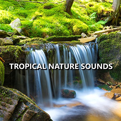 Amazon.com: Tropical Nature Sounds : Nature Sounds Nature Music ...