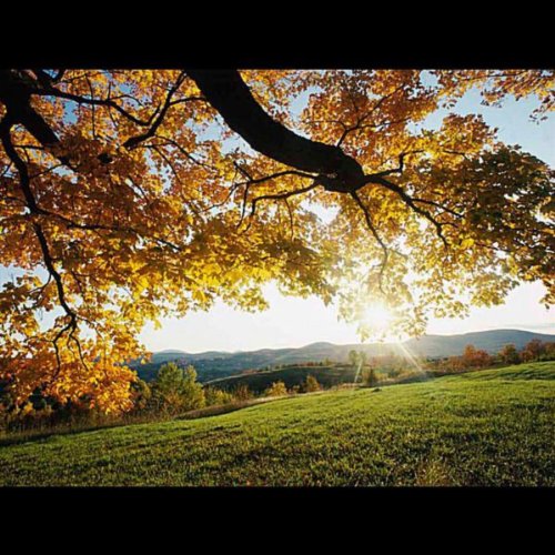 Amazon.com: The Music Of The Spheres : Kevin Carini: Digital Music