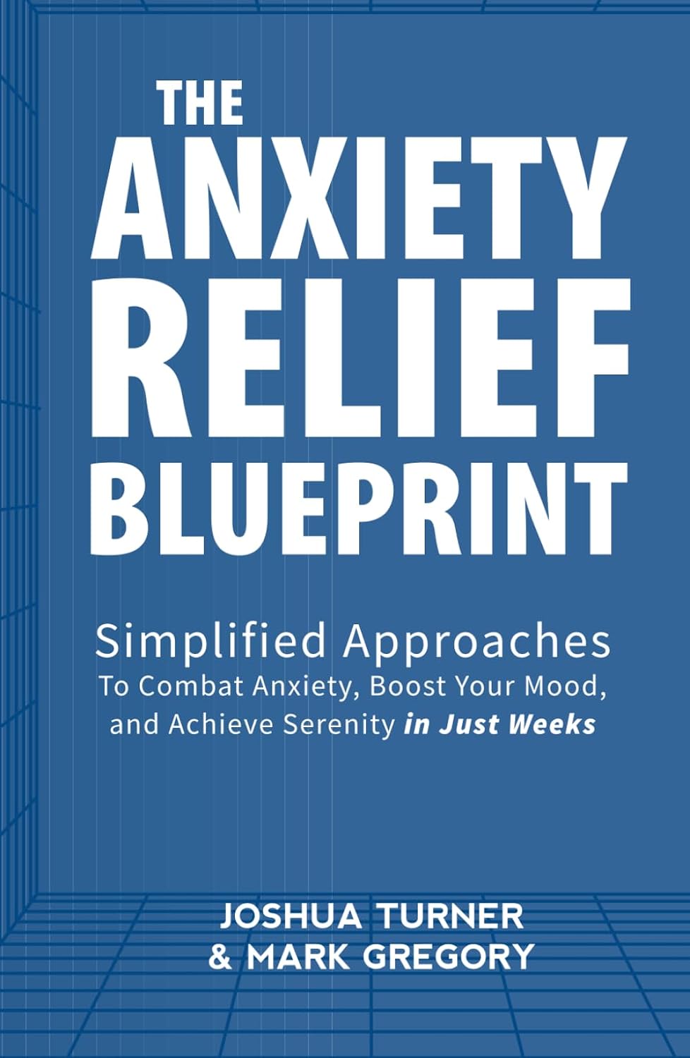 The Anxiety Relief Blueprint: Simplified Approaches to Combat Anxiety ...