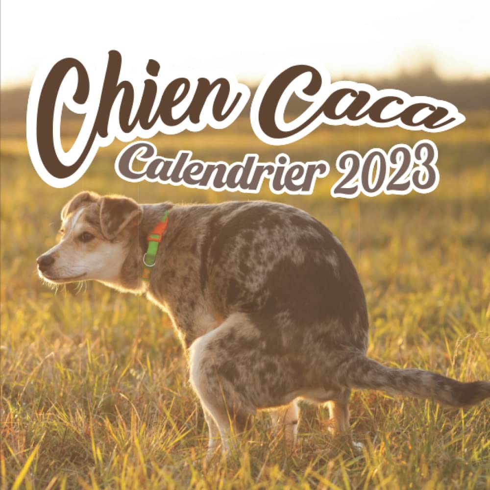 Buy Chien Caca 2023: | Un joli calendrier mensuel de 12 mois avec note ...
