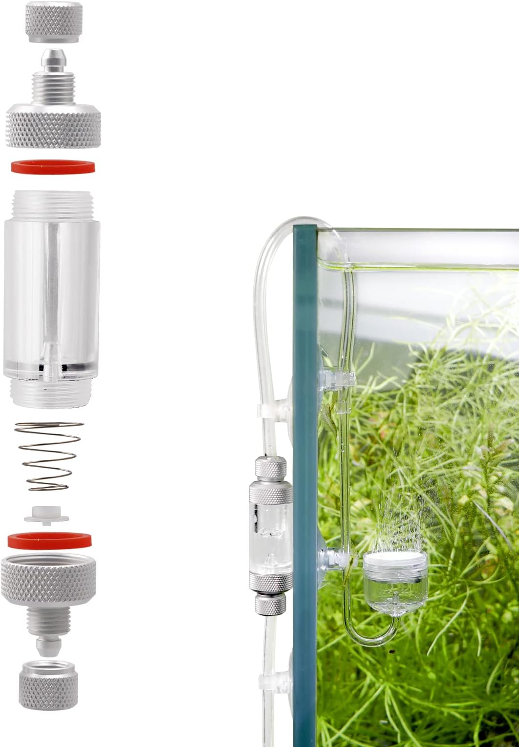 Amazon.com : CO2 Bubble Counter Double Head, Aquarium Water Plant Tool, Prevent backflow, Count ...