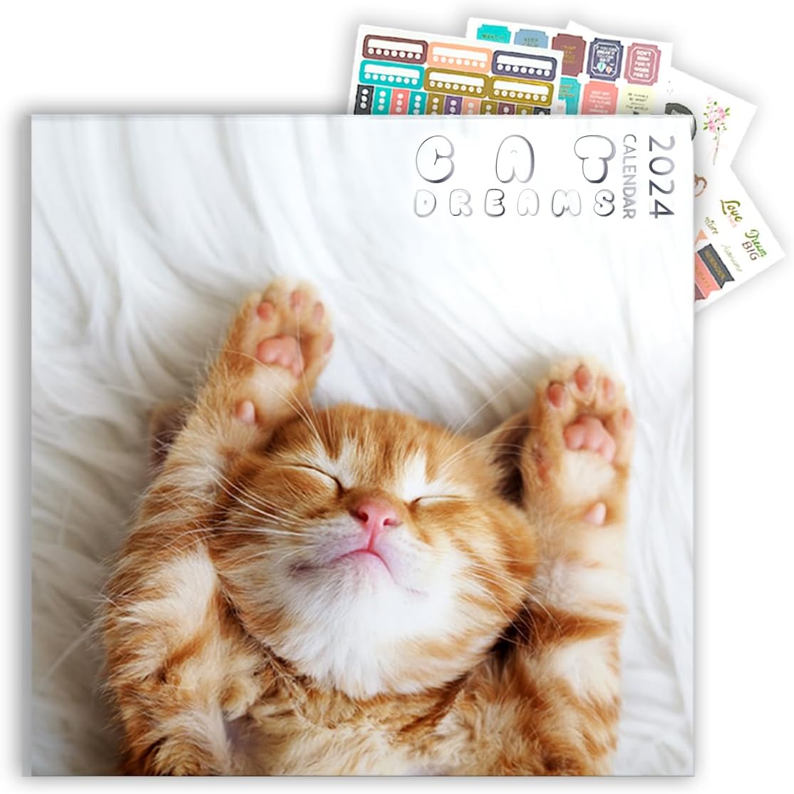 Amazon.com: Cat Calendar 2024 with Sticker Pack, Kitten Square Large ...