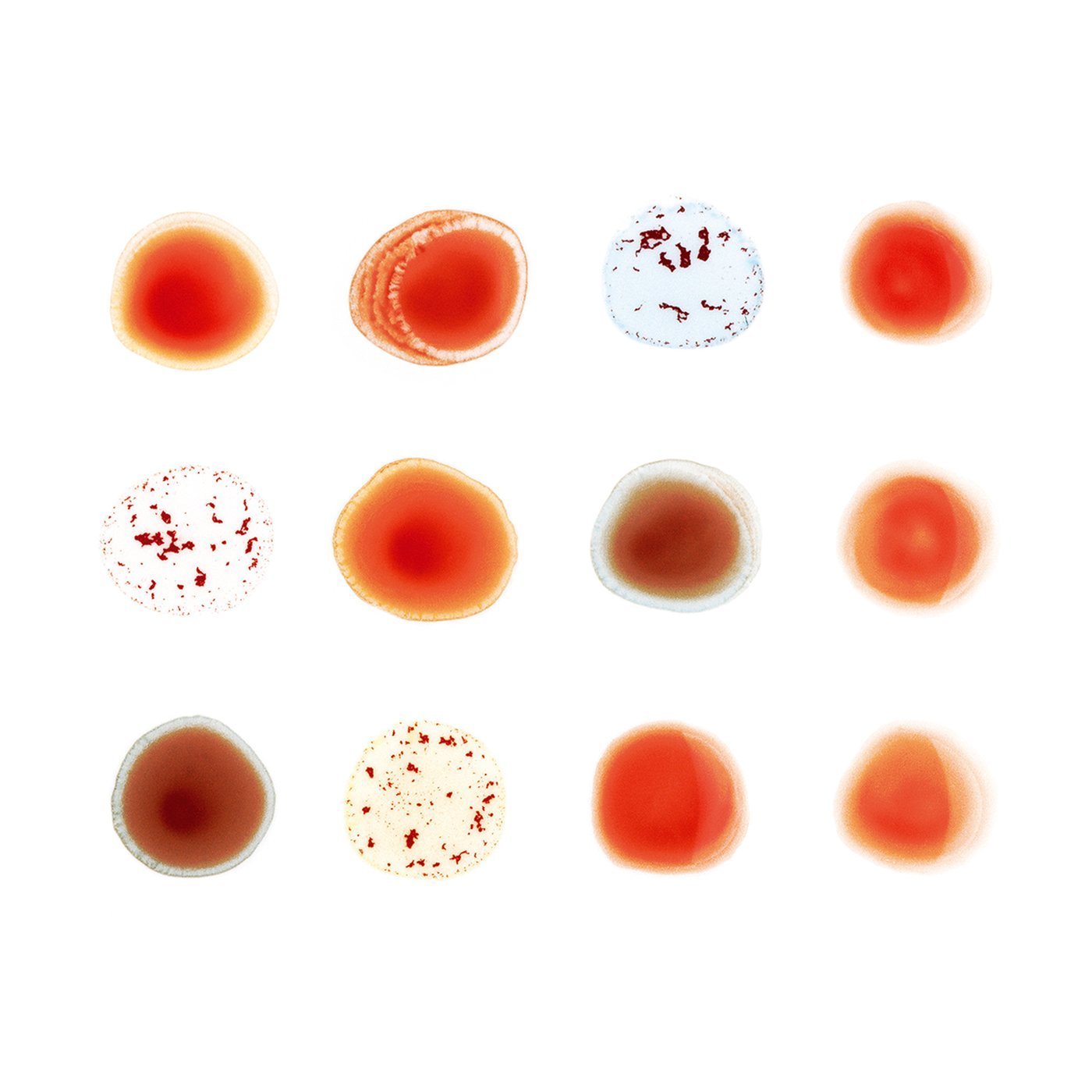 Amazon.co.jp: Scratch My Back/and..: ミュージック