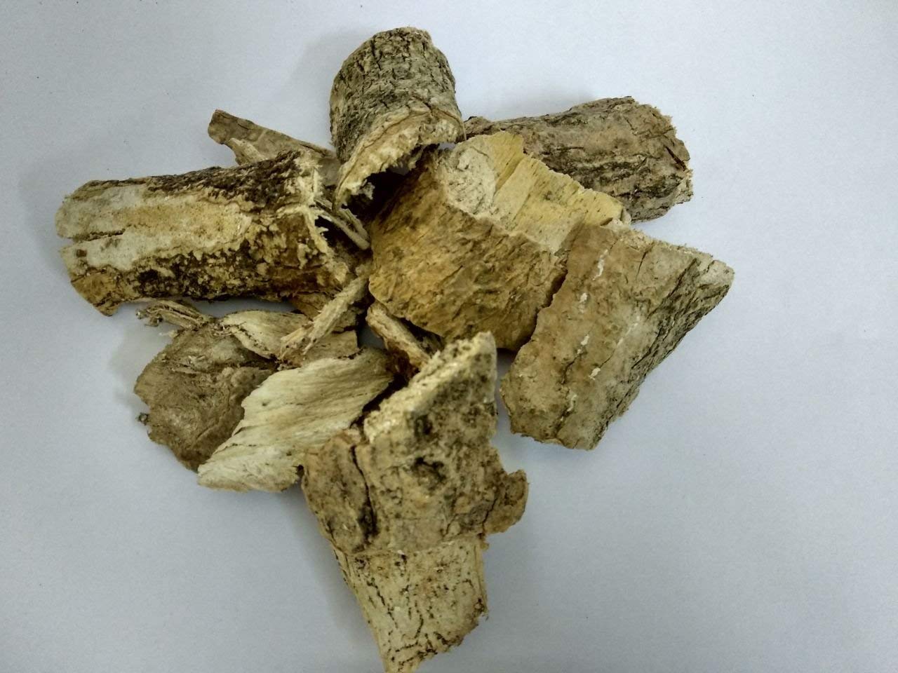 Moringa Oleifera Bark