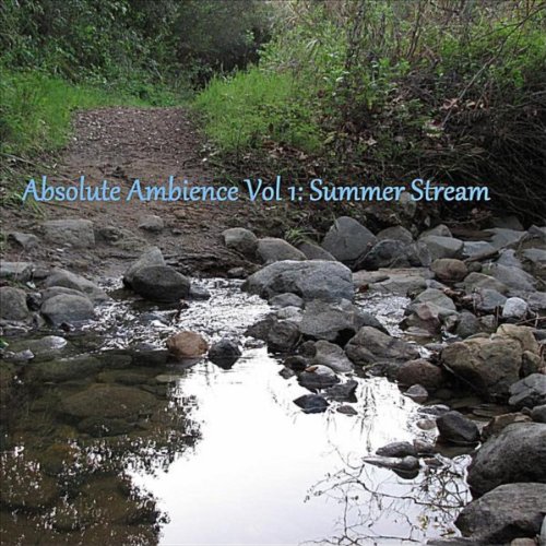 Amazon.com: Absolute Ambience, Vol 1 (Summer Stream) : Serene Machine ...