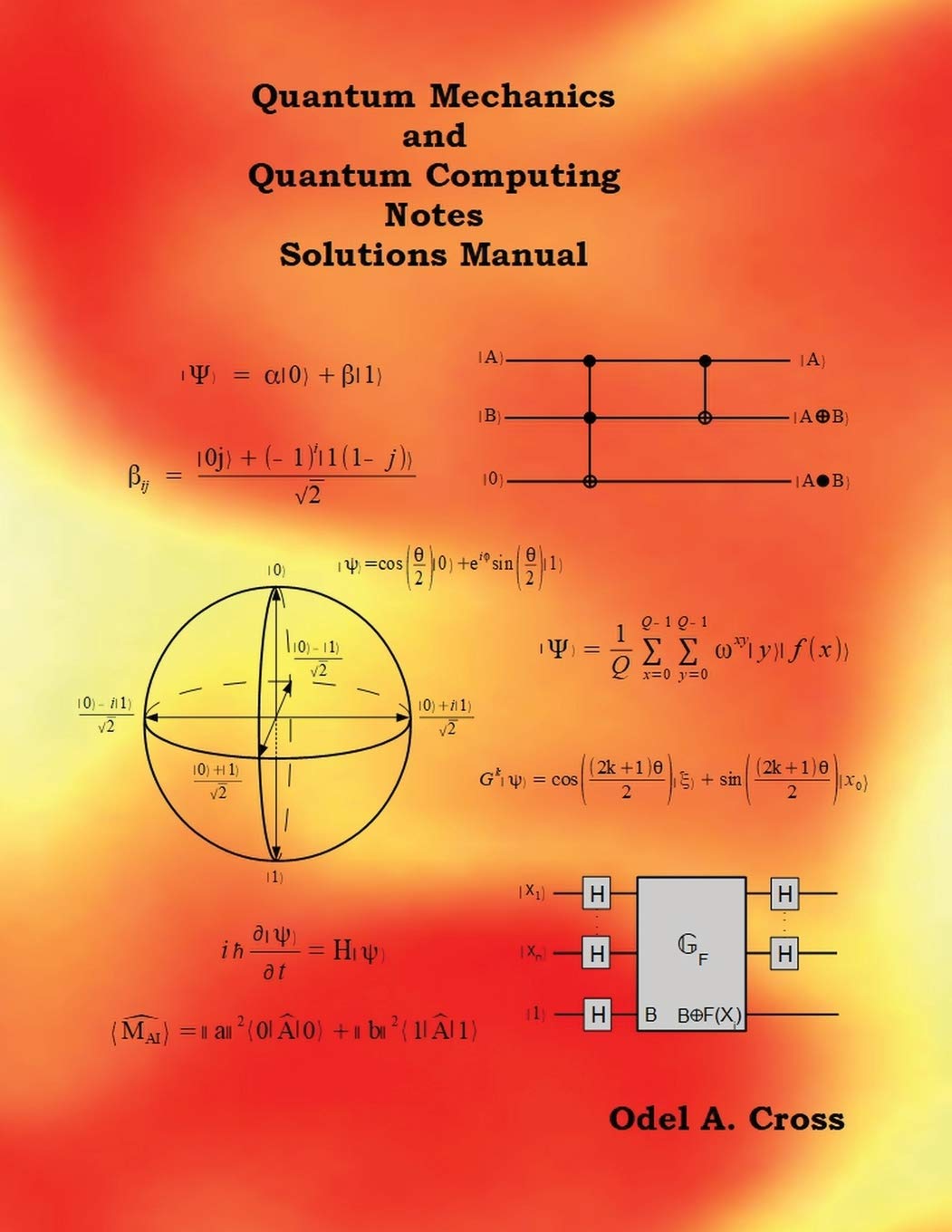 Amazon.com: Quantum Mechanics and Quantum Computing Notes Solutions ...