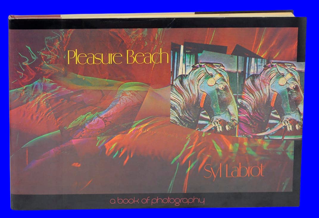 Pleasure beach: A book in three parts: Labrot, Syl: Amazon.com: Books